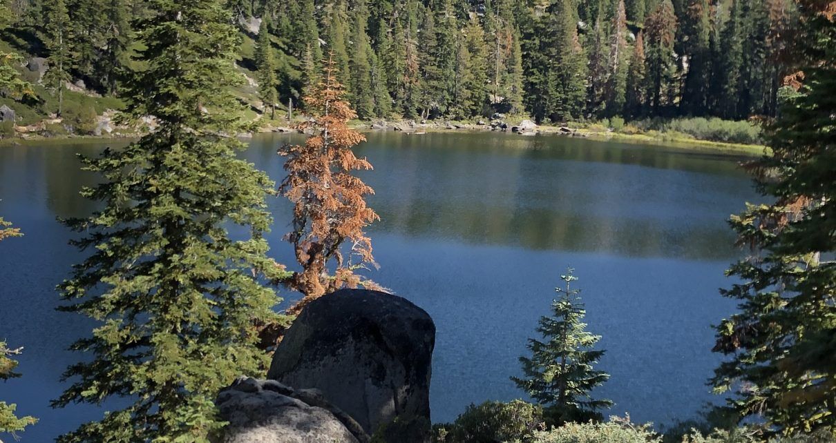 What Is in California’s Public Resources Code? – California Globe