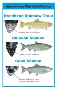 Fish and Game Districts in California – California Globe