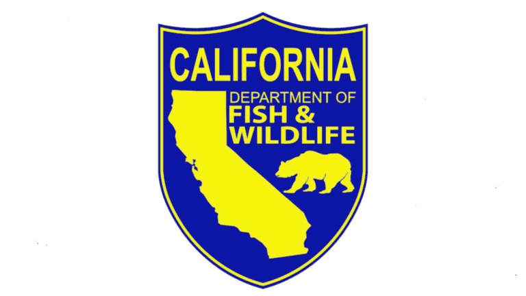 Fines and Penalties in the Fish and Game Code – California Globe