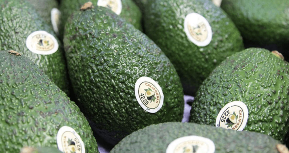 Super Bowl Sunday: Avocados Grow, Where Water Flows – California Globe