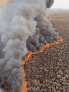 Arizona’s Hazen Fire Explodes Due to Invasive Vegetation – California Globe